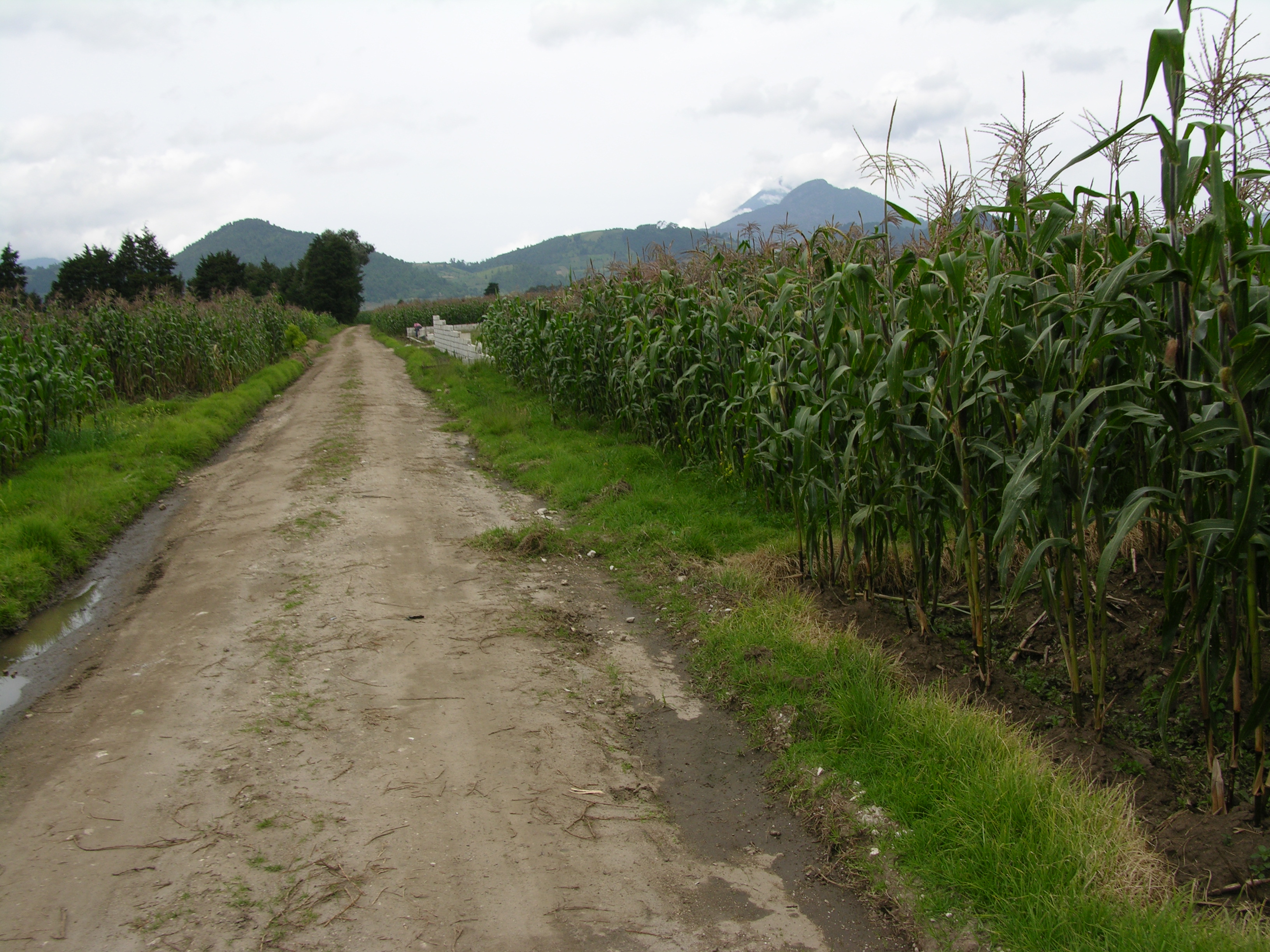 Whose Load Are You Carrying? – Phyllis Clark Nichols